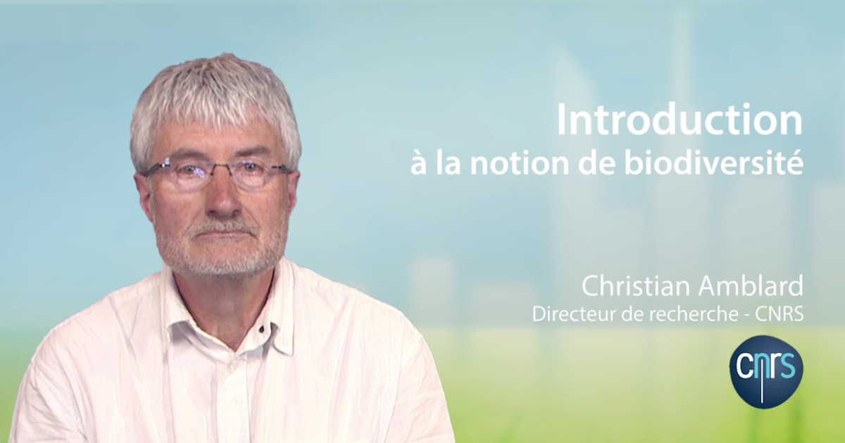 2.1 Introduction à la notion de biodiversité | Sorbonne TV